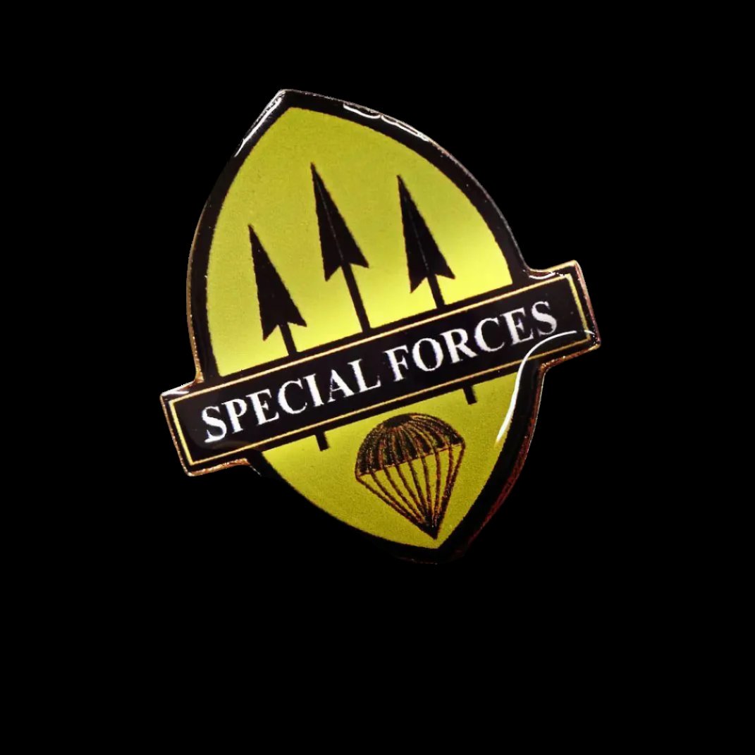 Special Forces Pin Suarez Arts