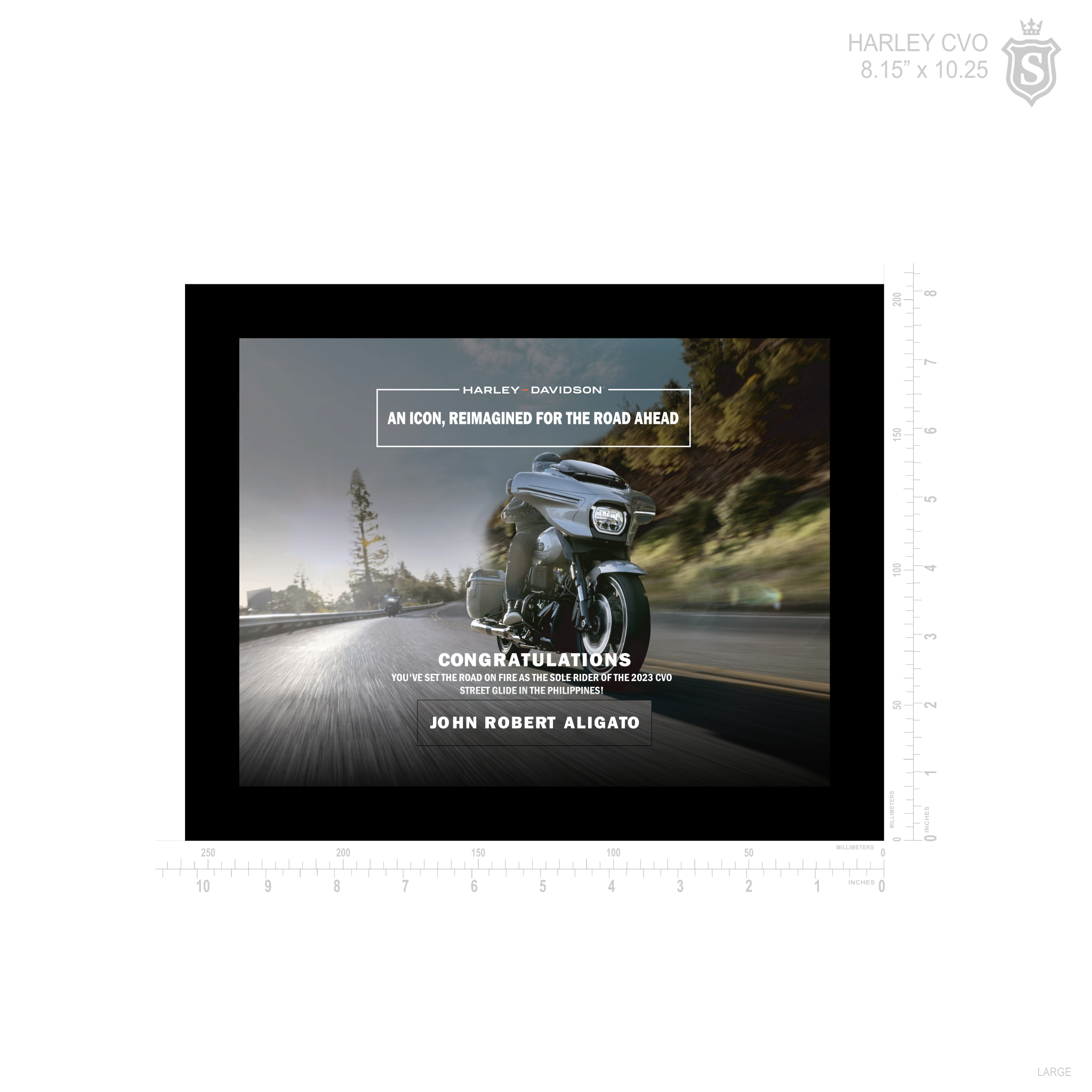 HARLEY DAVIDSON CVO FRAME – Suarez Arts