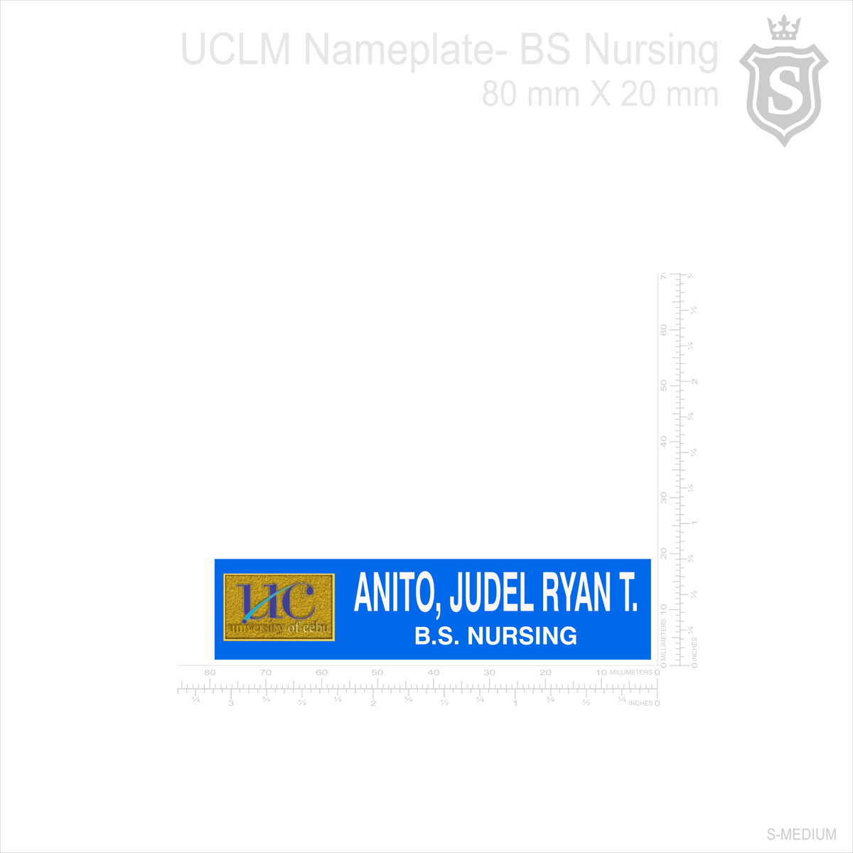 University of Cebu Lapu-Lapu and Mandaue (UCLM) Nameplate - BS Nursing ...