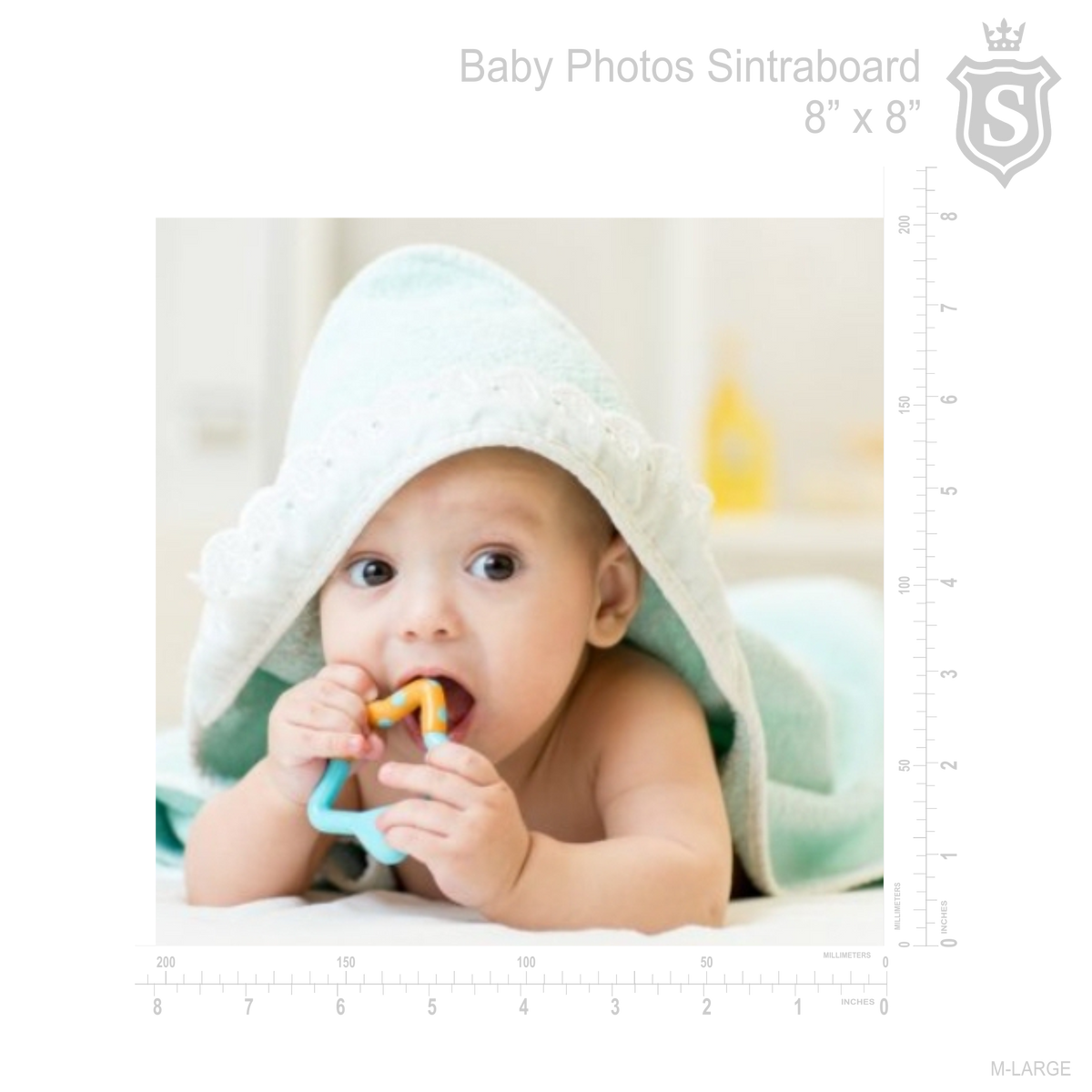 SINTRA BOARD W/ MATTED STICKER – Suarez Arts