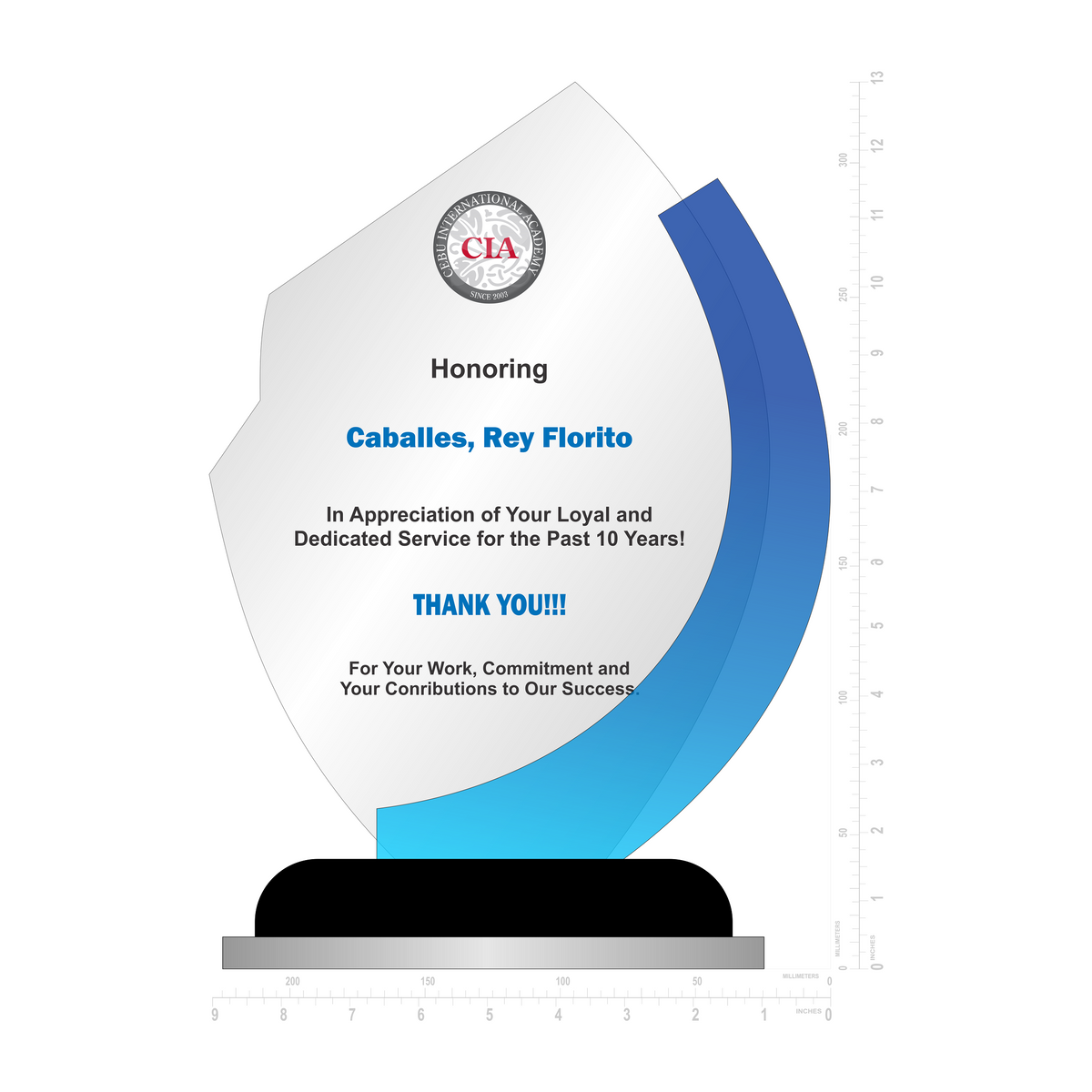 Plaque Of Appreciation – Suarez Arts