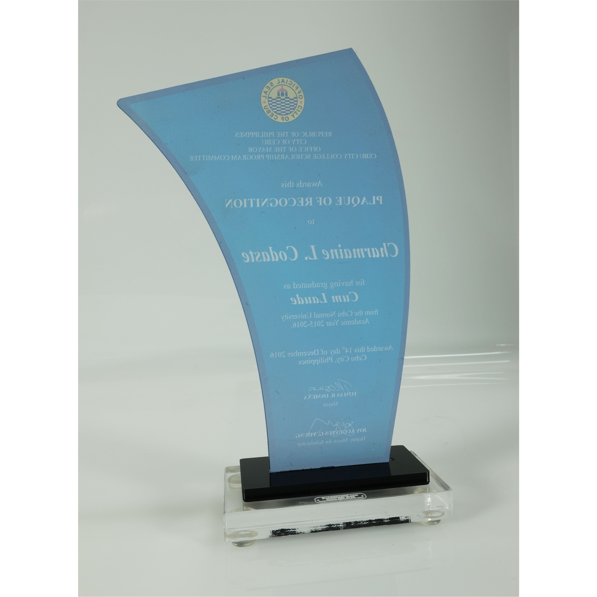 Generic Plaque Single Body – Suarez Arts