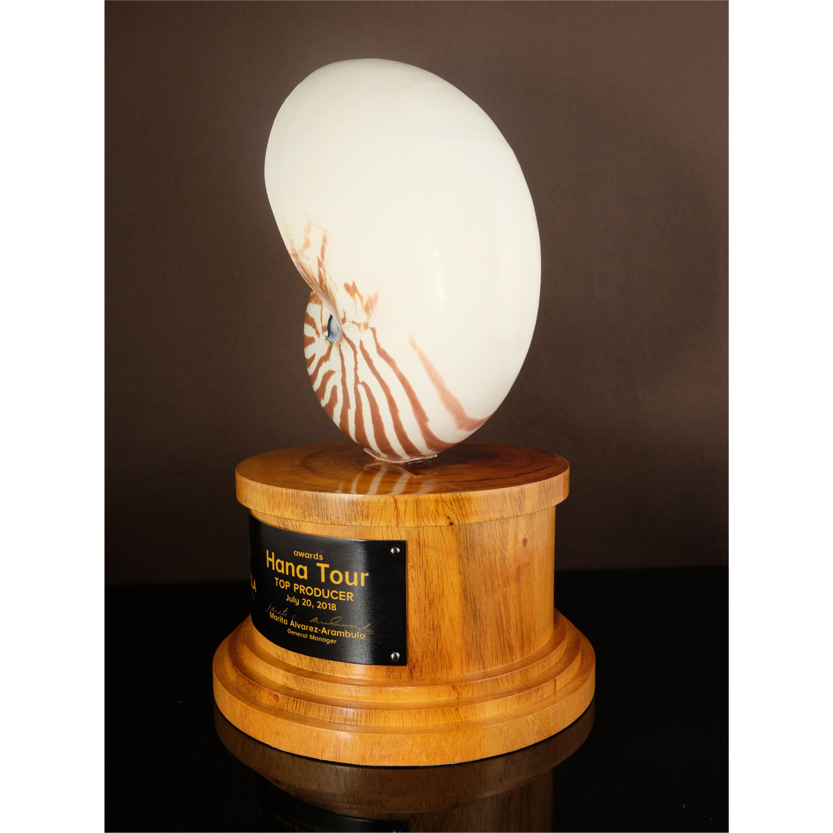 Nautilus Shell Plaque with Wood Base 12 inch – Suarez Arts