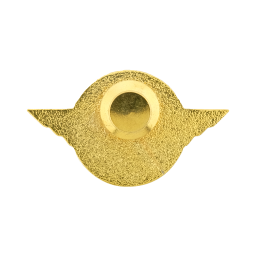 PNP-ASG Basic Avaition Security Course – Suarez Arts