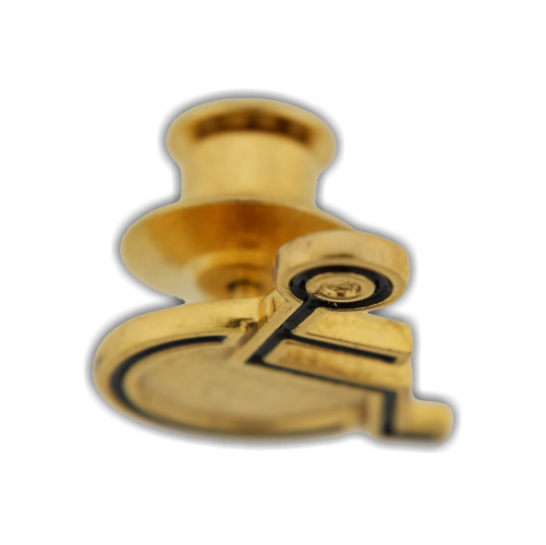 Physical Therapy Pin – Suarez Arts